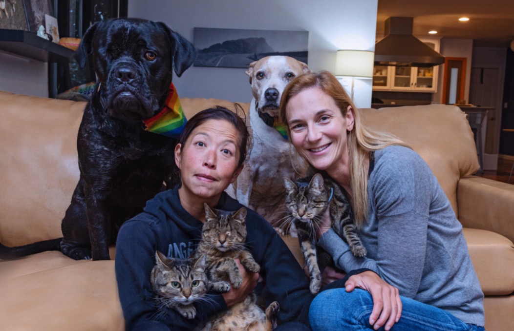 CityWatch LA - LA Animal Services & Pet Care Foundation Host July ...